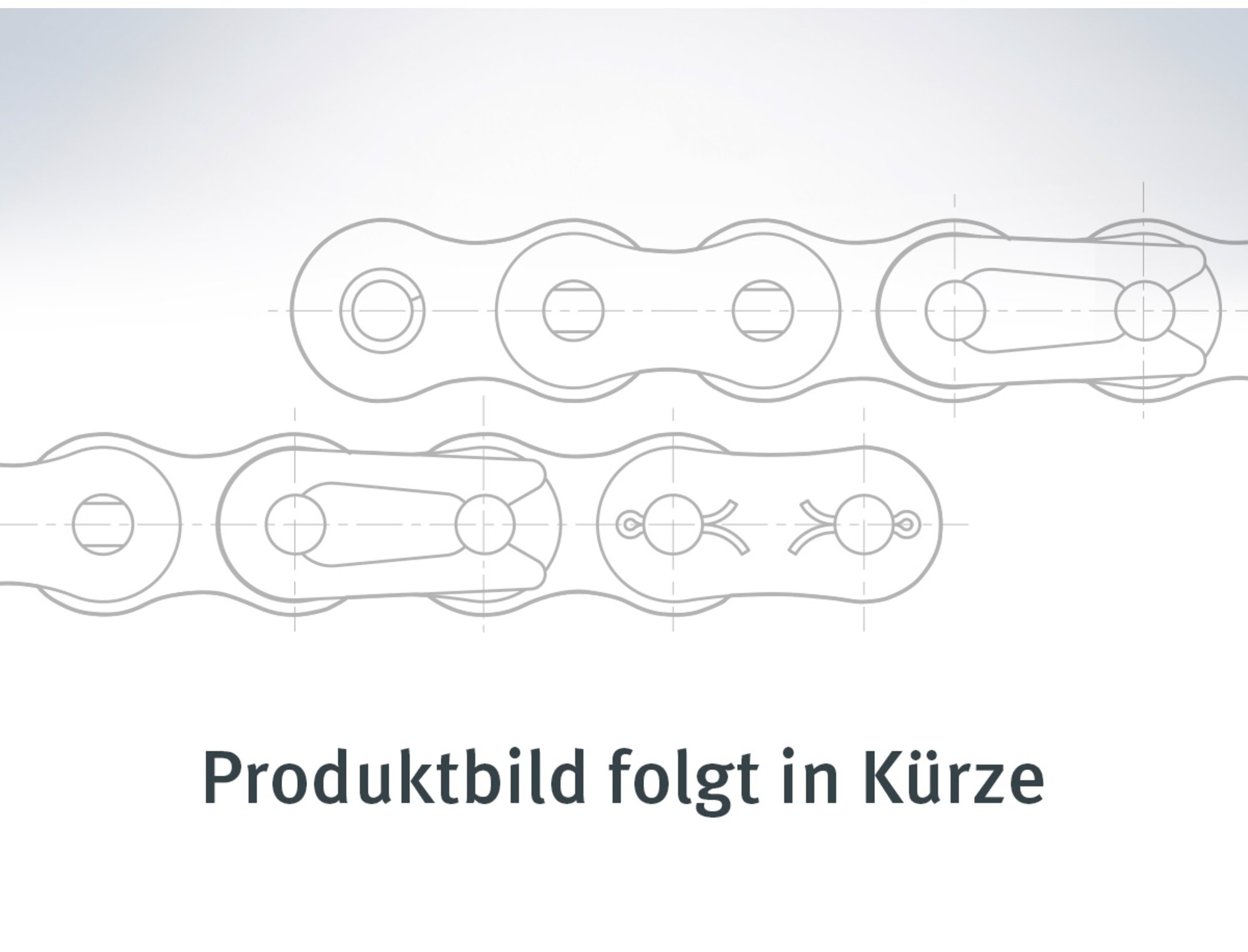 Roller chain 12B-2 - JWIS